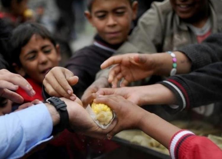 El hambre explota, la guerra no explica todo | IADE